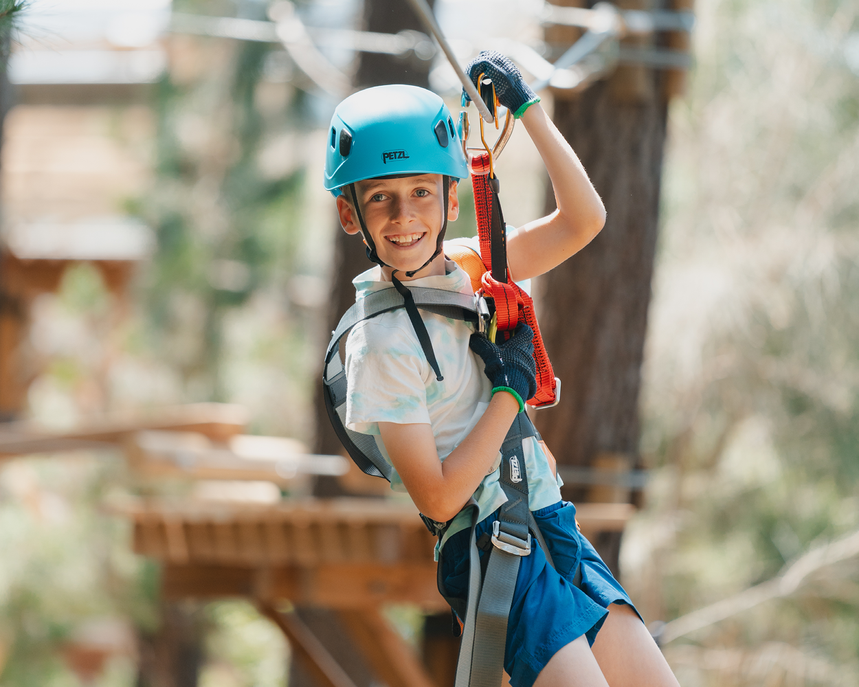 Treetops Adventure Branding